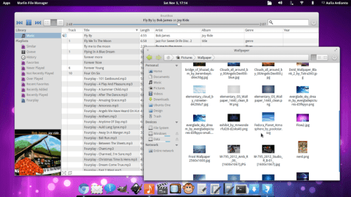 Elementary OS Luna - Professional IT Services